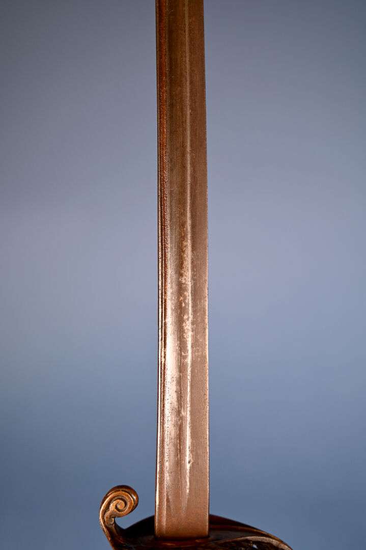 Sabre réglementaire français modèle 1845 d'adjudant dans son fourreau ...